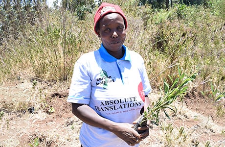 Carbon Neutral Translation Company - Absolute Translations